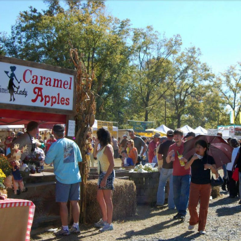 10 Signs That Fall Is Finally Here